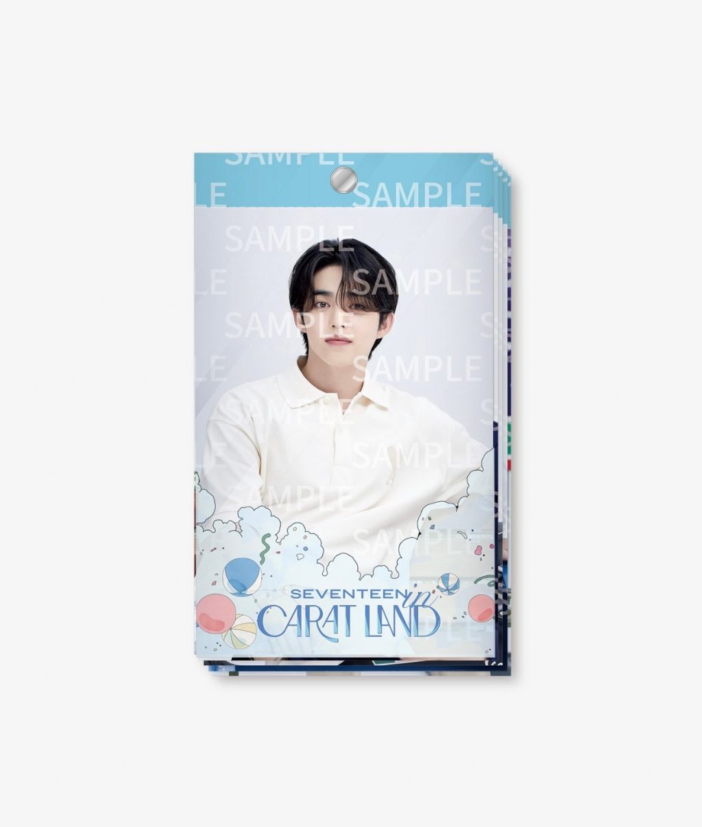 SEVENTEEN Merchandise Every Carat Will Love | Delivered Korea
