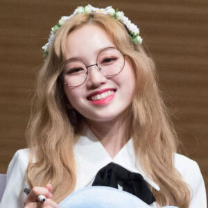 Profil des membres de LOONA : âge, taille, groupe sanguin, MBTI, etc ...